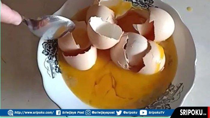 Inilah Cara Sederhana Menentukan Telur Busuk atau Segar, Coba Lakukan ...