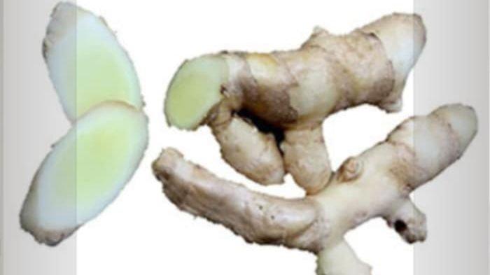 Inilah Manfaat Temu Putih, Saudara Kunyit Kuning Dengan Segudang ...