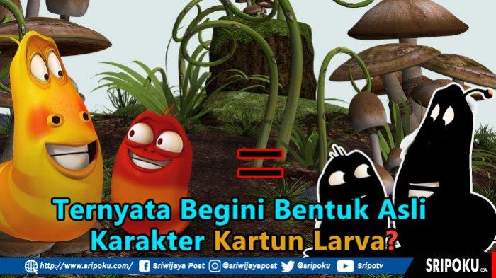 Video Ternyata Begini Bentuk Asli Karakter Kartun Larva, Bikin ...