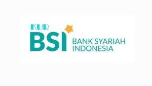Resmi Diluncurkan Presiden Prabowo, BSI Jadi Bank Emas Pertama di ...