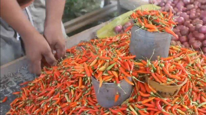Update Harga Bahan Pokok di Sigi, Cabai Rawit Merah Turun Jadi Rp 35 Ribu Per Kg - Tribunpalu.com