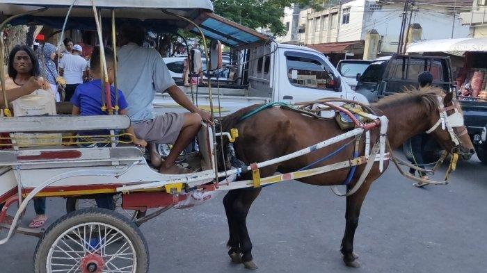 Cerita Fahrul Si Kusir Delman di Kota Palu: Tarik Dokar Sepulang ...