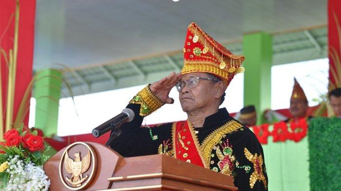 Gubernur di Momen HUT Ke-20 Tojo Unauna: Industri Pariwisata Touna Cukup Signifikan bagi Devisa ...