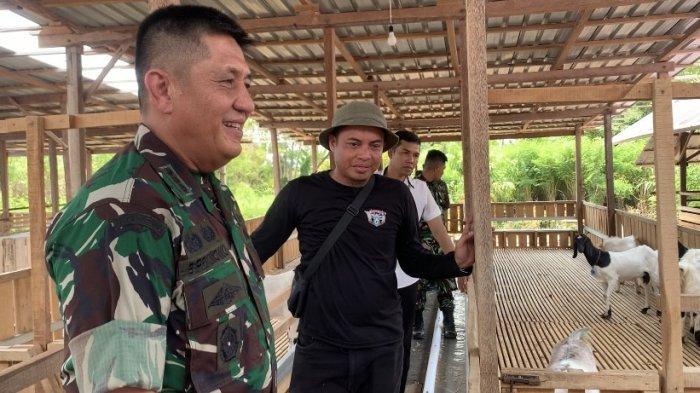 Korem Tadulako Libatkan Kelompok Peternak Kambing di Palu dalam Gerakan ...