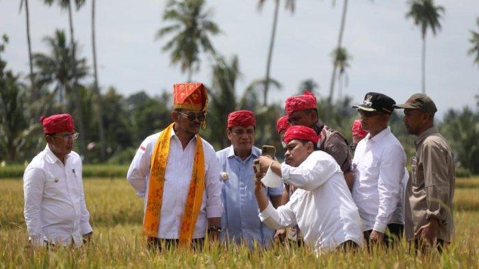 Jadi Wilayah Surplus Beras Nasional, Mentan SYL Dorong Sulawesi Tengah ... Jadi Wilayah Surplus Beras Nasional, Mentan SYL Dorong Sulawesi Tengah ...
