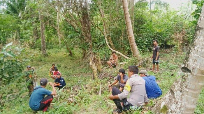 Pamit Cari Kayu Bakar sejak 21 September, Warga Kintom Banggai Tak ... Pamit Cari Kayu Bakar sejak 21 September, Warga Kintom Banggai Tak ...