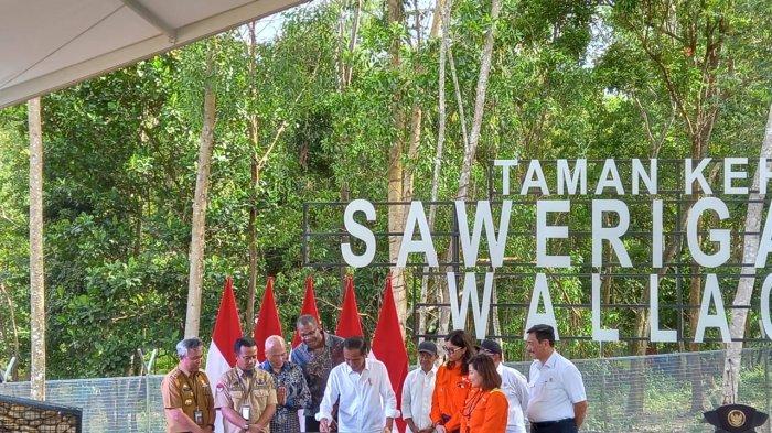 Joko Widodo Resmikan Taman Kehati Sawerigading Wallacea di Lutim, Ada ...