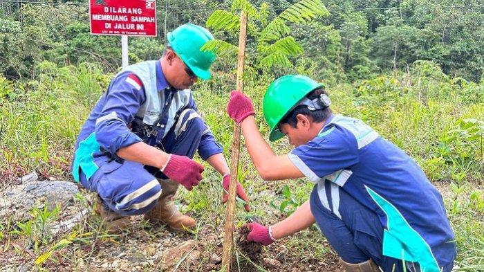 Raih Proper Hijau, PT Hengjaya Mineralindo Wujudkan Tata Kelola ...