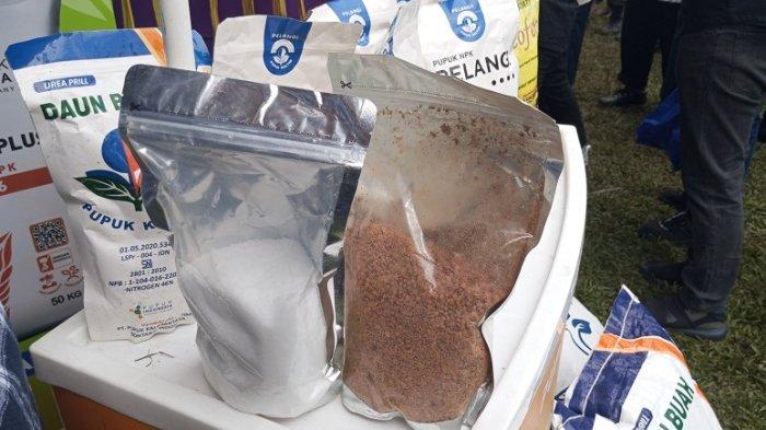 Harga Pupuk Urea Non Subsidi di Poso Capai Rp 340 - 350 Ribu Per Karung ...