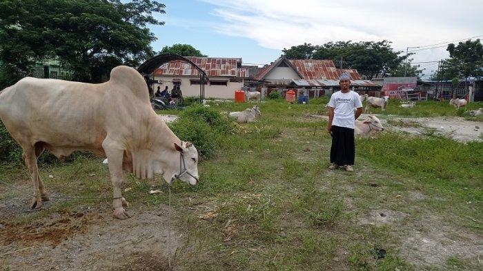 Komunitas Saspri Dolo Barat Buka Pasar Hewan di Palu Barat - Tribunpalu.com