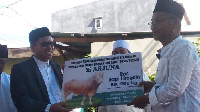 Sapi Presiden RI untuk Sulteng Diserahkan untuk Jamaah Masjid Jami ...