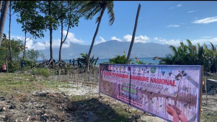 Korem 132/Tadulako Tanam Mangrove Bersama Polda Sulteng di Tawaeli Kota ...