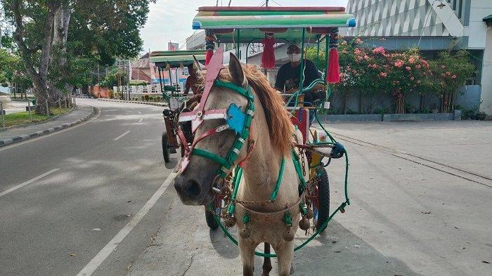 Menelisik Pesona Dokar, Potensi Wisata Tersembunyi di Kota Palu ...