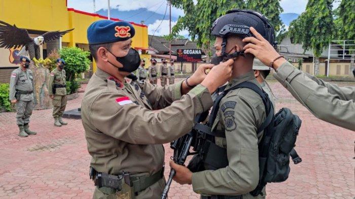24 Persenel Baru Gegana Brimob Sulteng Gelar Tradisi Pengambilan Pin Gegana - Tribunpalu.com