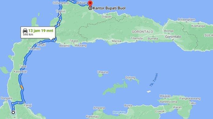 TRIBUN WIKI: 6 Fakta Perjalanan Palu-Buol Sulteng, Ada Kerumunan Sapi ...