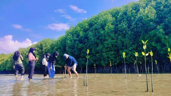 LPAP El Capitan Indonesia Tanam Ribuan Bibit Mangrove di Parigi ...