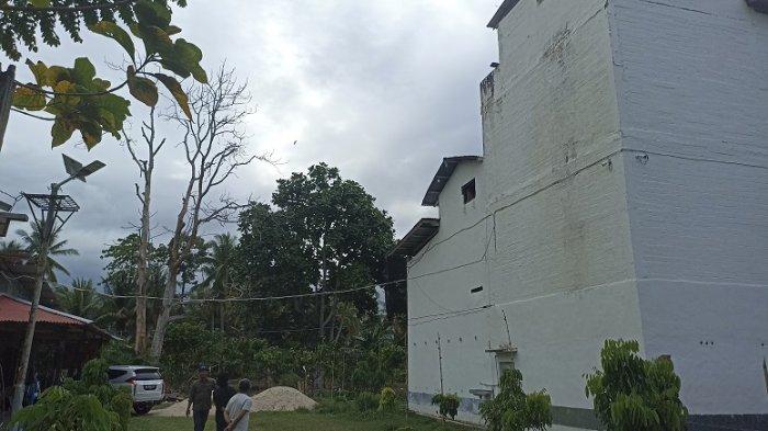 Budidaya Burung Walet di Tenggorokan Pulau Sulawesi, Hasil Panen ...