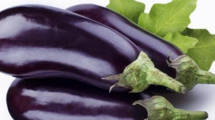 Tips Mudah Menanam Terong di Sistem Hidroponik, Perhatikan Suhu Air ...