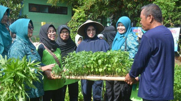 Desa Kalisalak Dipilih Jadi Lokasi Gerakan Tanam Cabai Serentak TP PKK Batang, Ini Alasannya ...