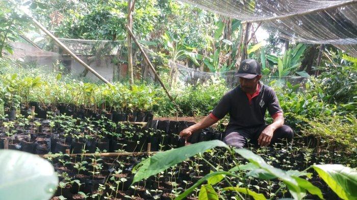 Jaga Kelestarian Lingkungan di Batang, PT BPI Rangkul Kelompok Usaha ...