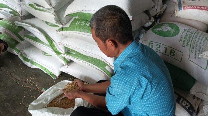 PRIMKOPTI Kudus Berharap Pemerintah Beri Subsidi Harga Kedelai - Tribun ...