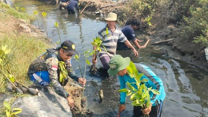 Paser Mania Tegal Bersama Mahasiswa KKN Tematik IPB Tanam 1.500 Bibit ...