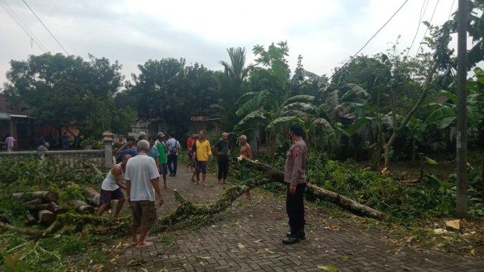 Pohon Tumbang dan Atap Rumah Warga Rusak Diterjang Hujan Angin di Kemangkon Purbalingga - Tribun ...