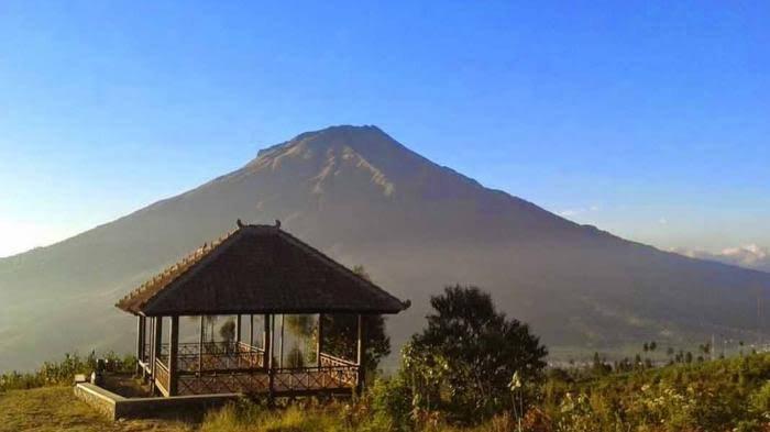 Menilik Wisata Negeri di Atas Awan Kaki Gunung Sindoro Temanggung - Tribun-pantura.com
