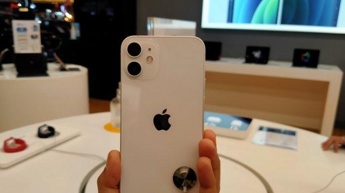 Ini Harga dan Spesifikasi iPhone 12 Mini - Tribun-pantura.com