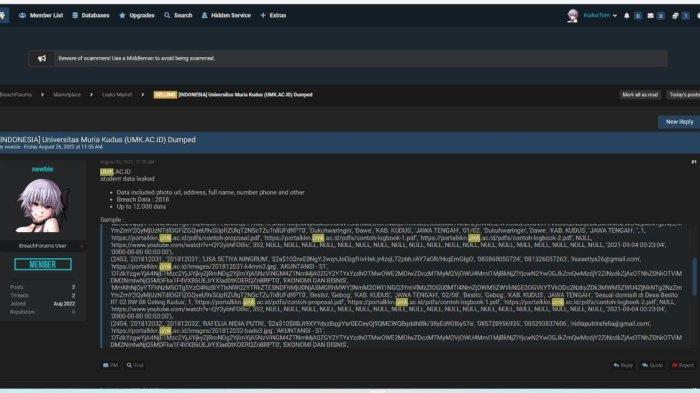Data Mahasiswa UMK Kudus Bocor, Beredar di Situs Bjorka Jual Data - Tribun-pantura.com