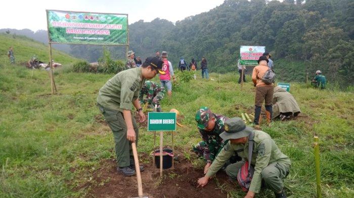 Aksi Tanam Pohon, Upaya Rehabilitasi di Kawasan Hutan Lindung Dawuhan Brebes - Tribun-pantura.com