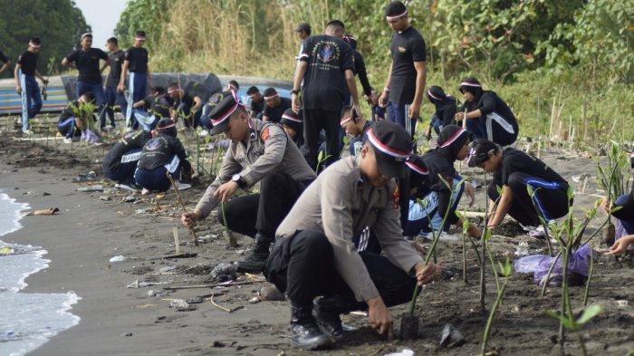 Polres Tegal Kota Tanam 1.000 Pohon Mangrove di Pantai Pulo Kodok ...