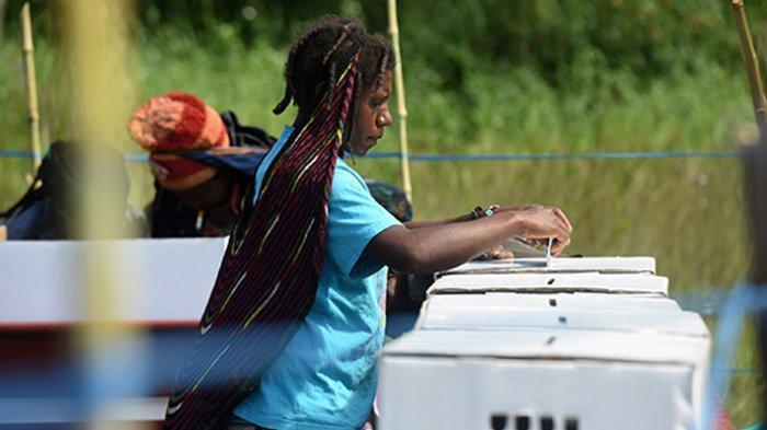 Pilkada Papua 2024 BERTABUR BINTANG: 2, 3 dan 4 - Tribun-papua.com