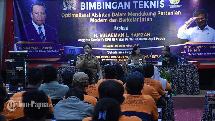 Komisi IV DPR RI dan Kementan Bimbing Petani Merauke Papua Selatan Optimalisasi Alsintan ...