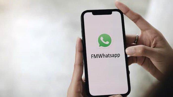 Kelebihan dan Kekurangan FMWhatsapp 2023: Dilengkapi Link Download yang ...