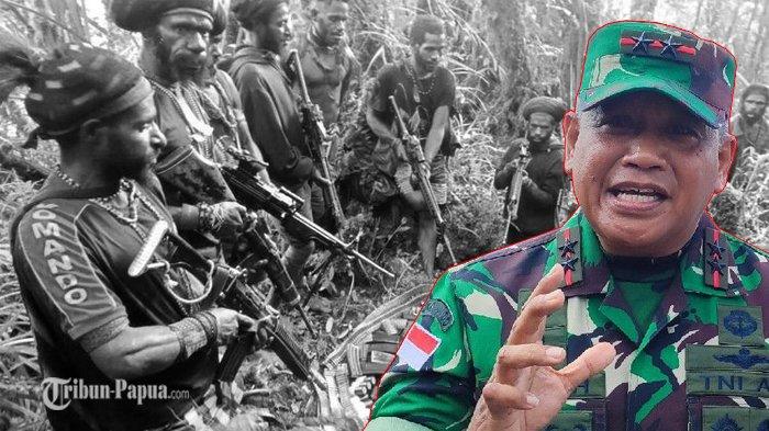 TNI Akui KKB Rampas 9 Senjata Api, Pangdam Saleh: Senjata Dilawan ...
