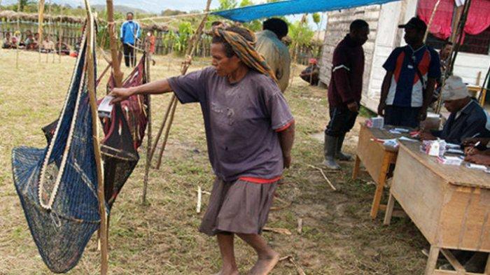 HISTORI Sistem Noken ala Papua di Pemilu - Tribun-papua.com