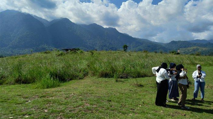 Bukit Kolang Mokko Hadirkan Spot Foto Berlatar Gunung Cycloop - Tribun ...