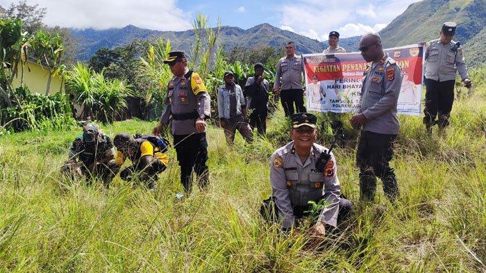 Sambut HUT ke-78 Bahyangkara, Polres Jayawijaya Tanam 1.000 Pohon Sin di Kurulu - Tribun-papua.com