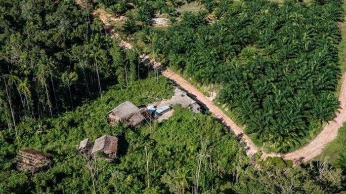 Lindungi Tanah Adat, Ruang Kelola Bagi Anak Papua dalam SDA dan Pengembangan Kawasan Industri ...