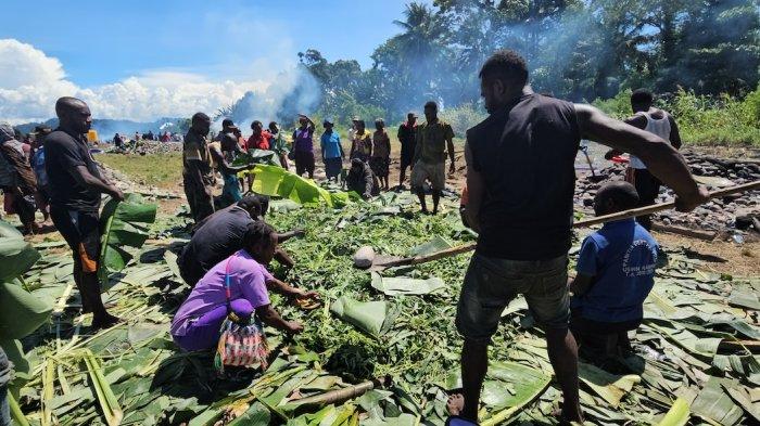 Pemprov Papua Tengah Siapkan Ratusan Babi Untuk Acara Bakar Batu ...