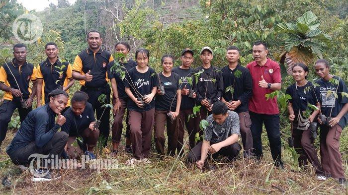 Ratusan Bibit Pohon Ditanam di Gunung Cycloops, Kadis Lingkungan Hidup ...