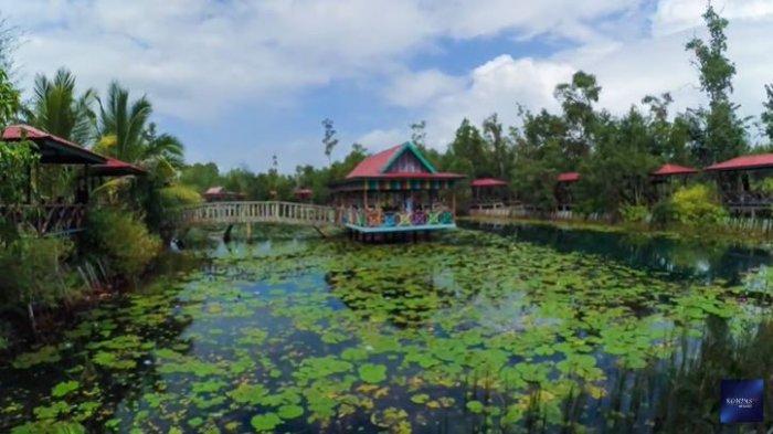 Wisata Papua: Rehat Sejenak Sembari Menikmati Alam di Lotus Garden ...