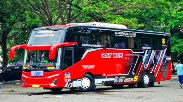 5 Hal yang Perlu Diperhatikan Sebelum Menyewa Bus Pariwisata - Tribun-papua.com