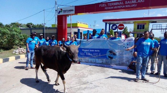 Pertamina Papua Maluku Salurkan 128 Hewan Kurban untuk Masyarakat - Tribun-papua.com