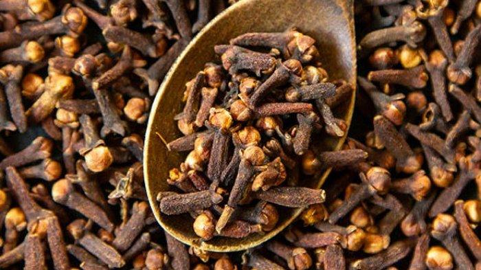 Pohon Cengkeh Jadi Paru-paru Kabupaten Fakfak, Ini Faktanya - Tribun ...