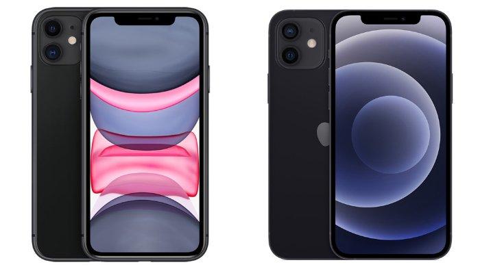 Perbandingan Spek dan Harga HP iPhone 11 dengan iPhone 12 - Tribun-papua.com