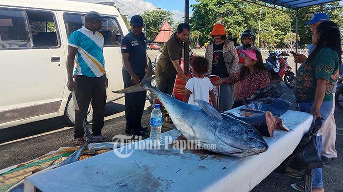 Ikan Tuna Ekor Kuning Laku Keras di Pasar Murah TPID Kabupaten Jayapura ...