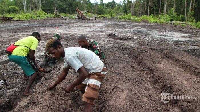 Profil Kabupaten Mappi yang Masuk dalam DOB Papua Selatan - Tribun ...