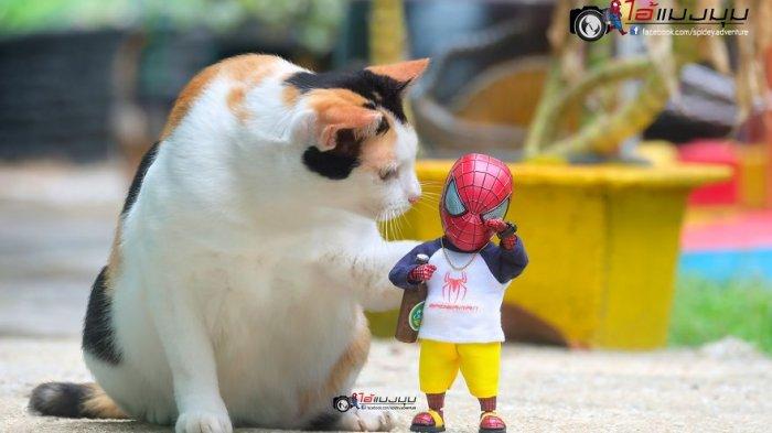 Lihat Kumpulan Foto Kocak Ciptaan Seniman, Gabungkan Karakter Spider ...
